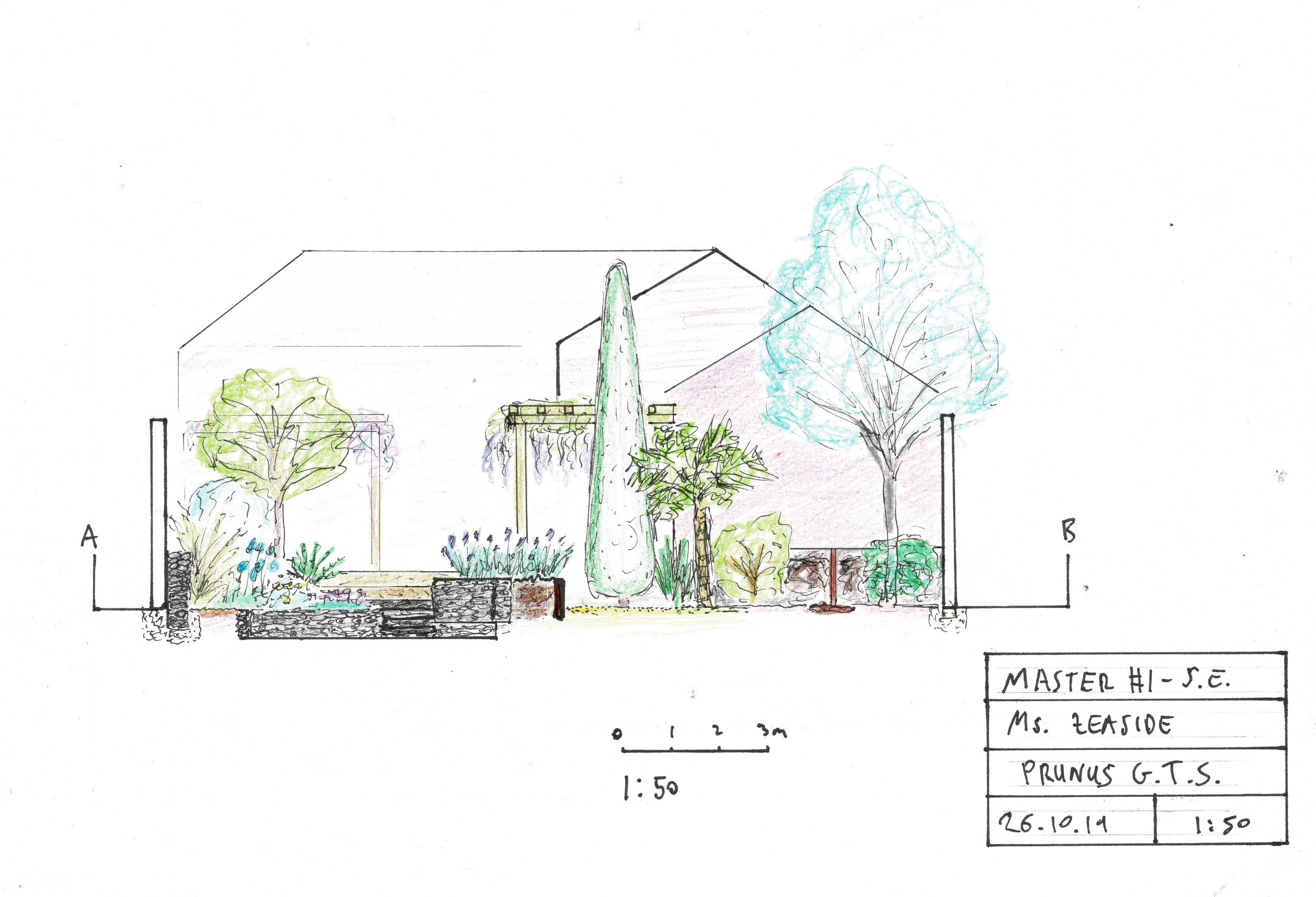 Landscape Design Elevation Drawing Landscape Drawings – Gardening